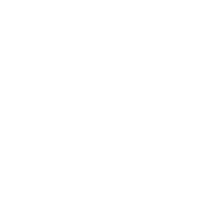 About Us – Good Samaritan Donkey Sanctuary