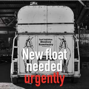 Good Samaritan Donkey Sanctuary